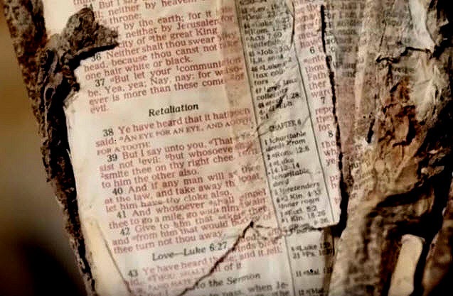 Bible rubble ∙∙ – Dr H Reflections