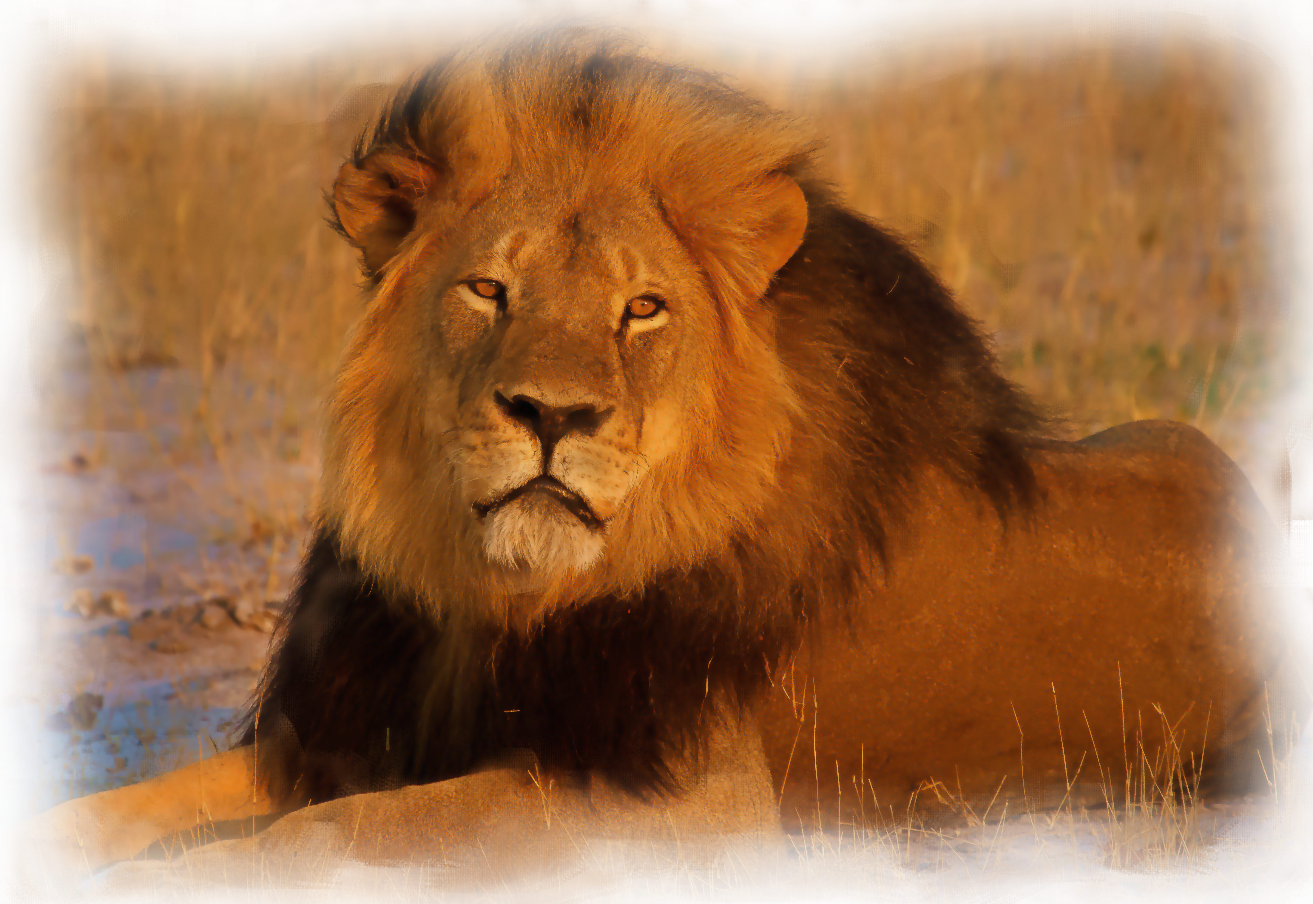 I’m always losing something – Dr H Reflections